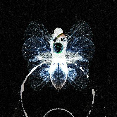 The first sphere angels - 상명디지털아트페어